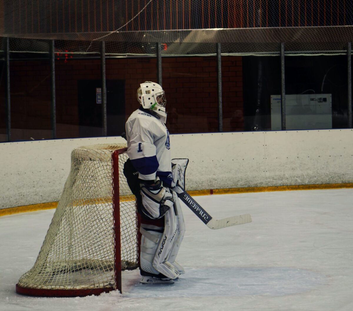 Embrace AI for NHL Handicapping Picks | Leans.AI